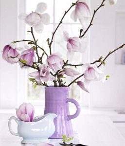 Chiroyli va chiroyli atirgullarning rasmlari guruhi - Misr sayti